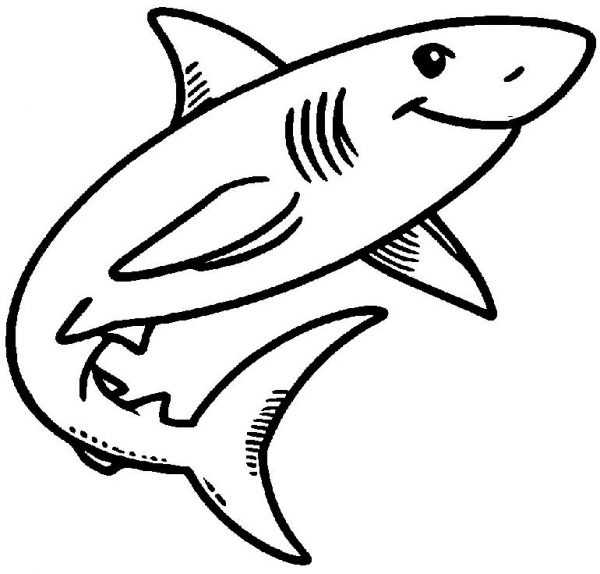 Ausmalbild Hai PDF gratis zum Download - Geschenkissimo