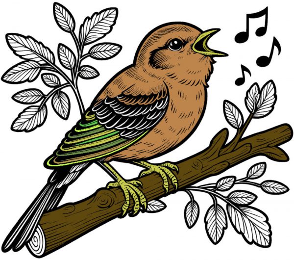 Ausmalbild Vogel gratis - Geschenkissimo